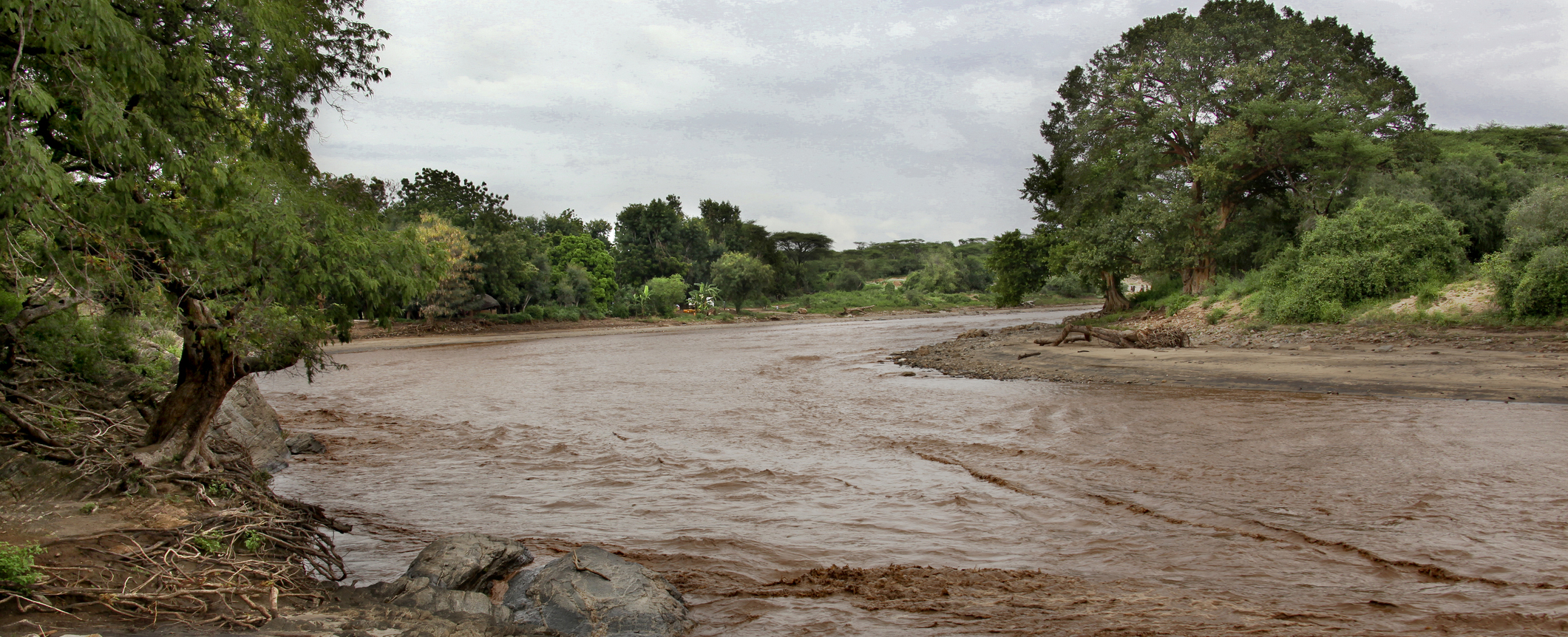 Schistosomiasis (Bilharzia) | OMS | Escritório Regional para a África