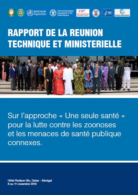 Rapport de la Réunion technique et Ministérielle sur l’approche « Une ...
