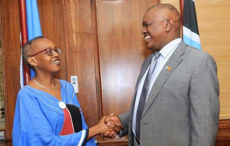The Regional Director for Africa Meets Botswana's Acting President ...