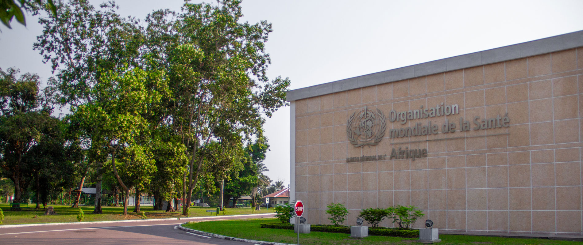 Sixty-ninth session of the WHO Regional Committee for Africa | WHO ...