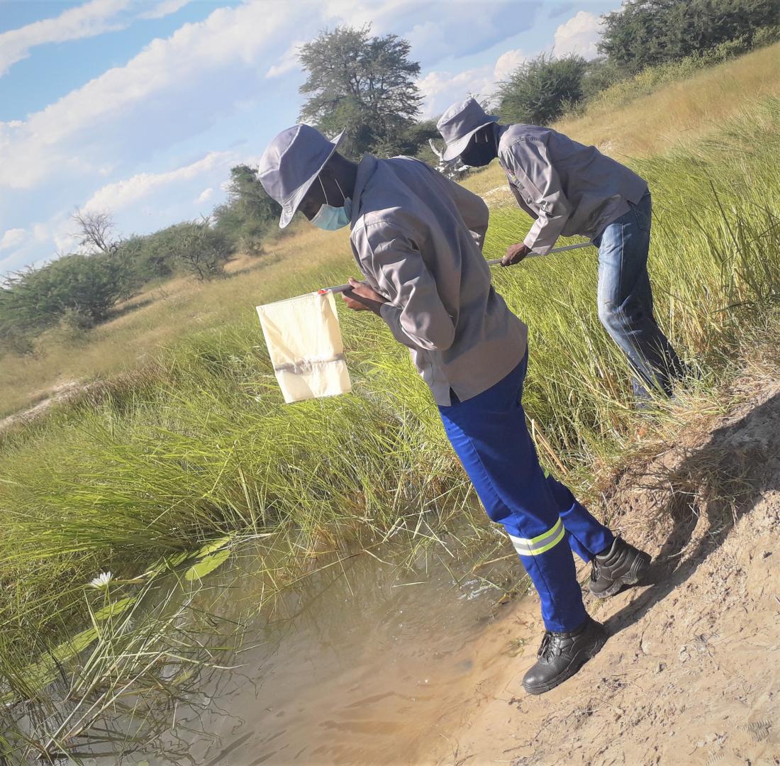 Namibia aiming to eliminate malaria through eco-friendly preventive ...