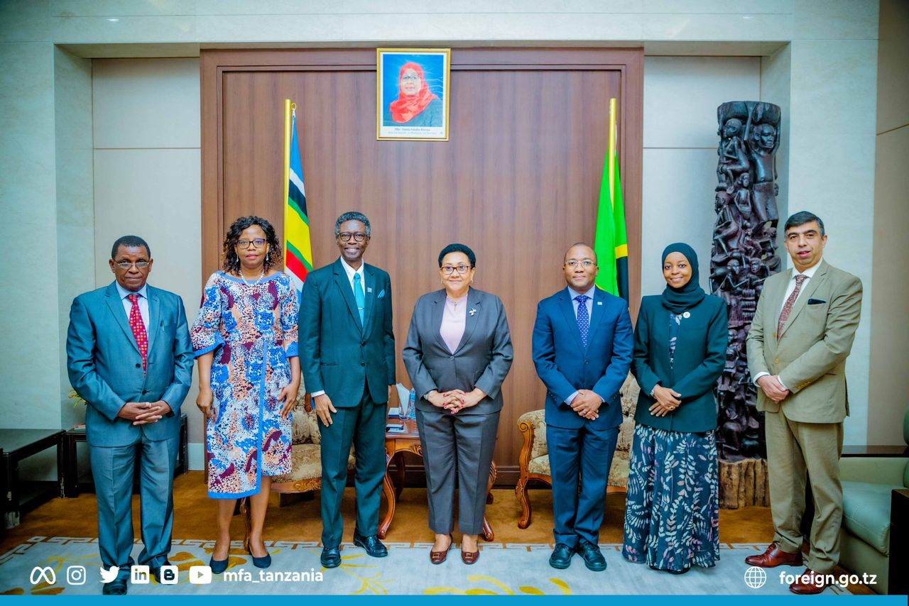 New Country Representative of WHO Tanzania presents letter of ...