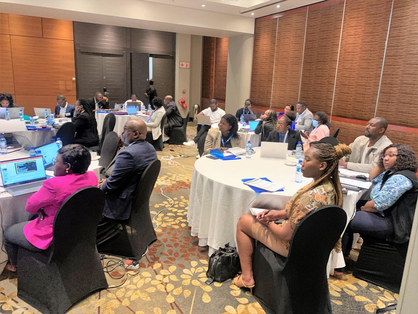 Namibia received an onboarding training on the Epidemic Intelligence ...