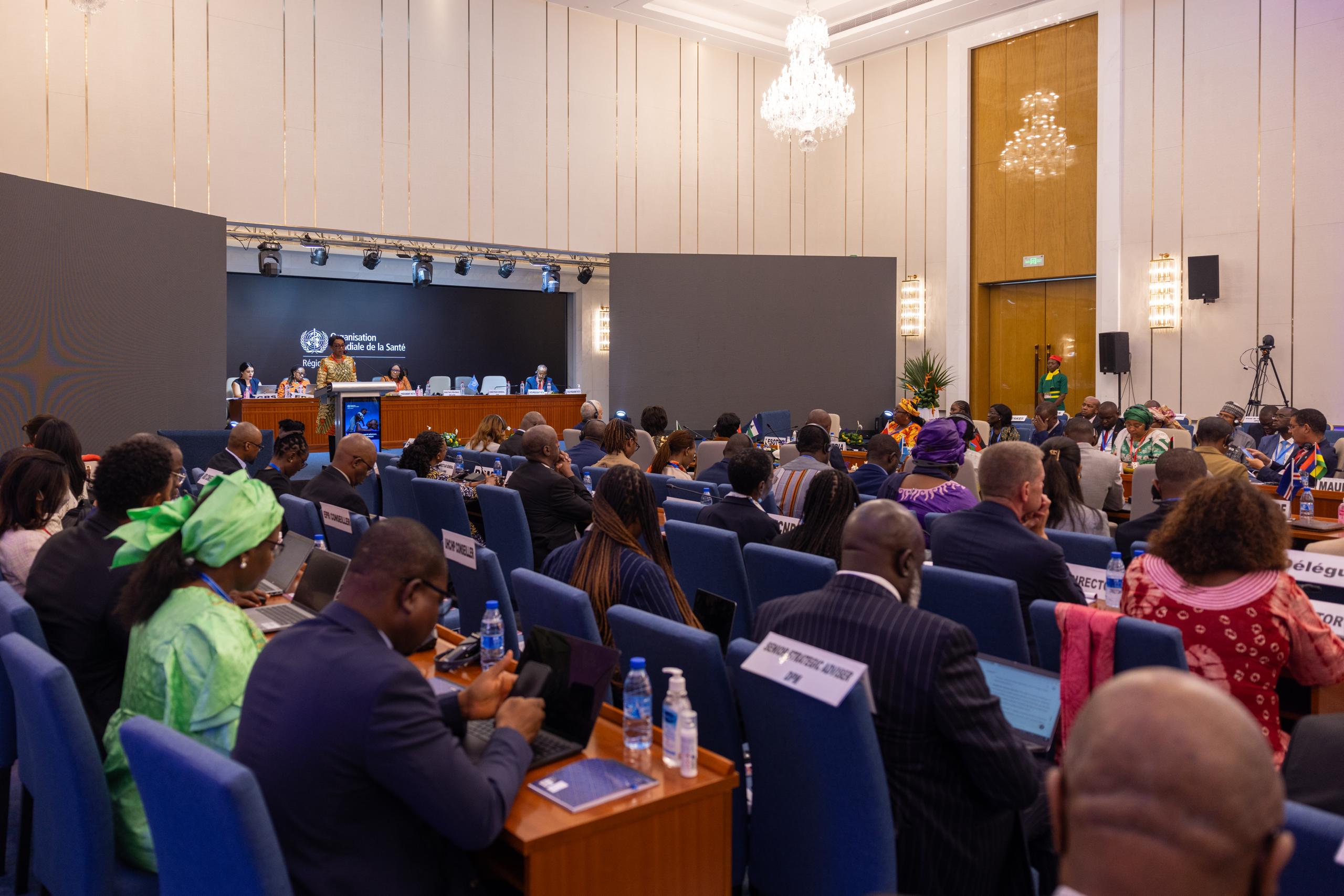 Seventy-fourth session of the WHO Regional Committee for Africa | WHO ...