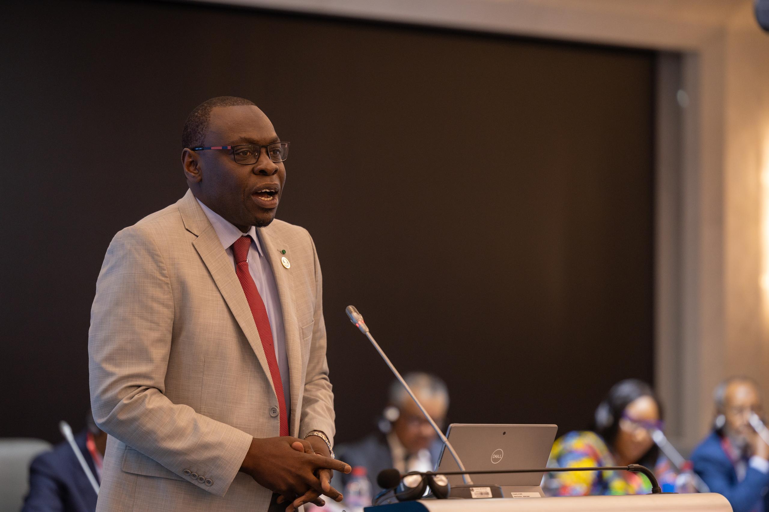 Seventy-fourth session of the WHO Regional Committee for Africa | WHO ...