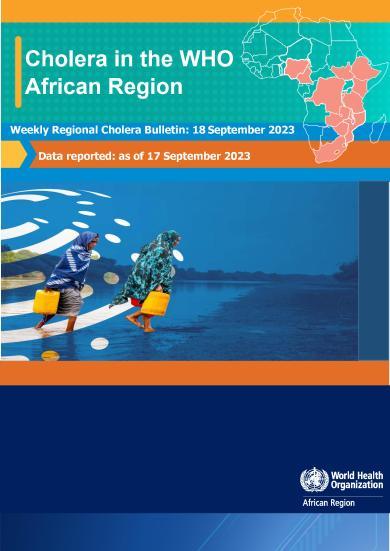 Cholera in the WHO African Region | WHO | Regional Office for Africa