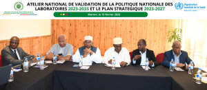 Comores : validation de la première politique nationale des ...