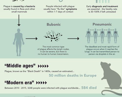 Plague | WHO | Regional Office for Africa